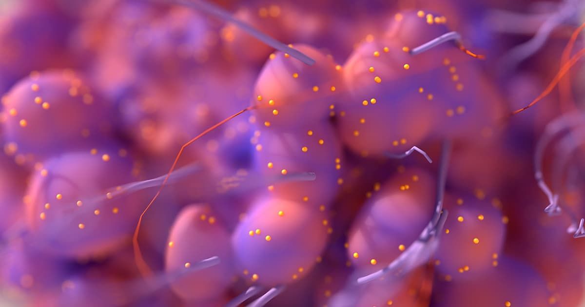 Improving Ai Explainability With Relevance Detecting Anomalies In Neural Networks