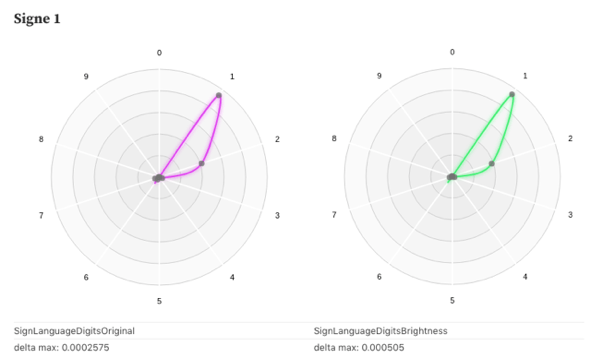 Does Data Augmentation Make a Neural Network More Robust? How to Measure It